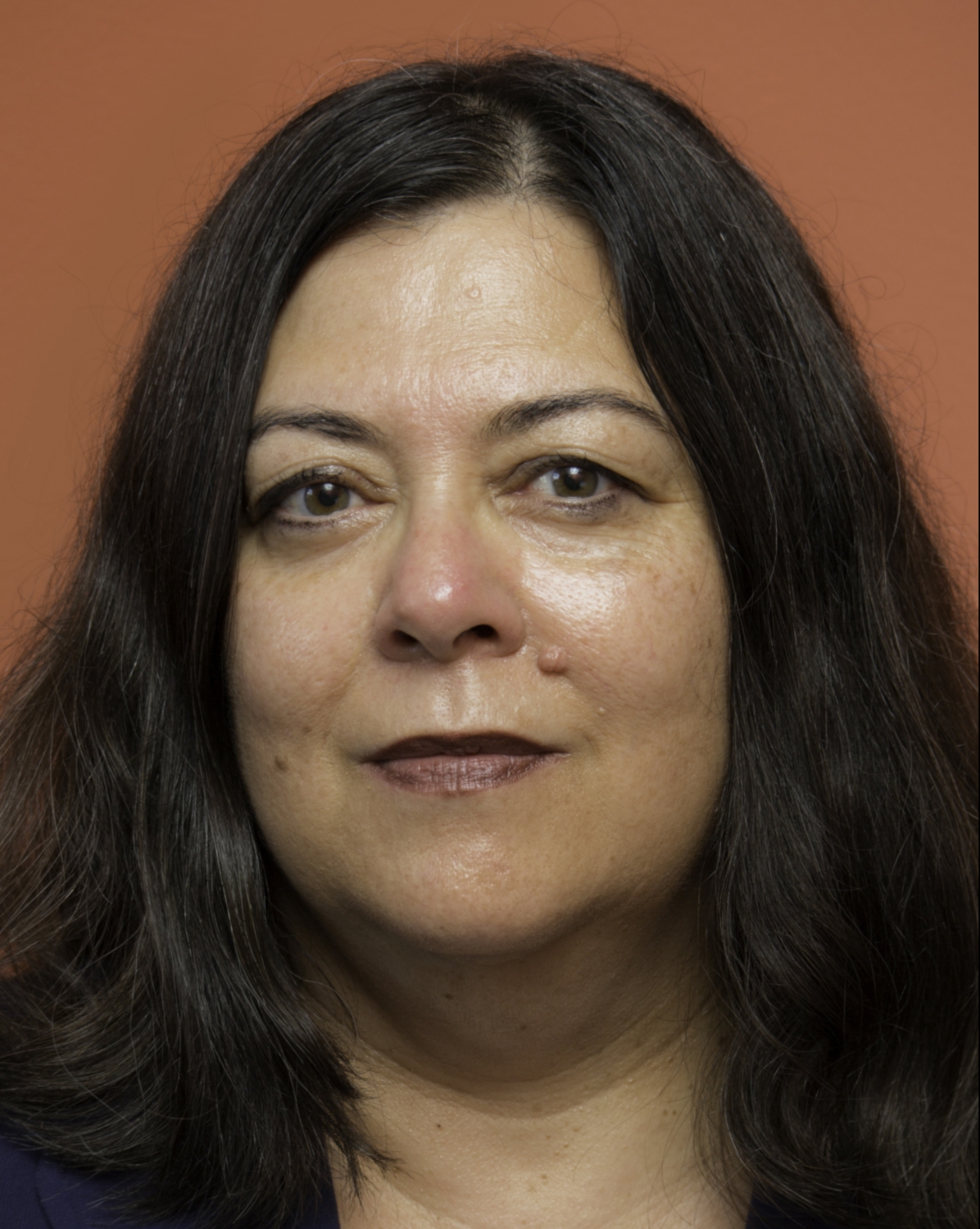 Faculty - UCLA Chavez